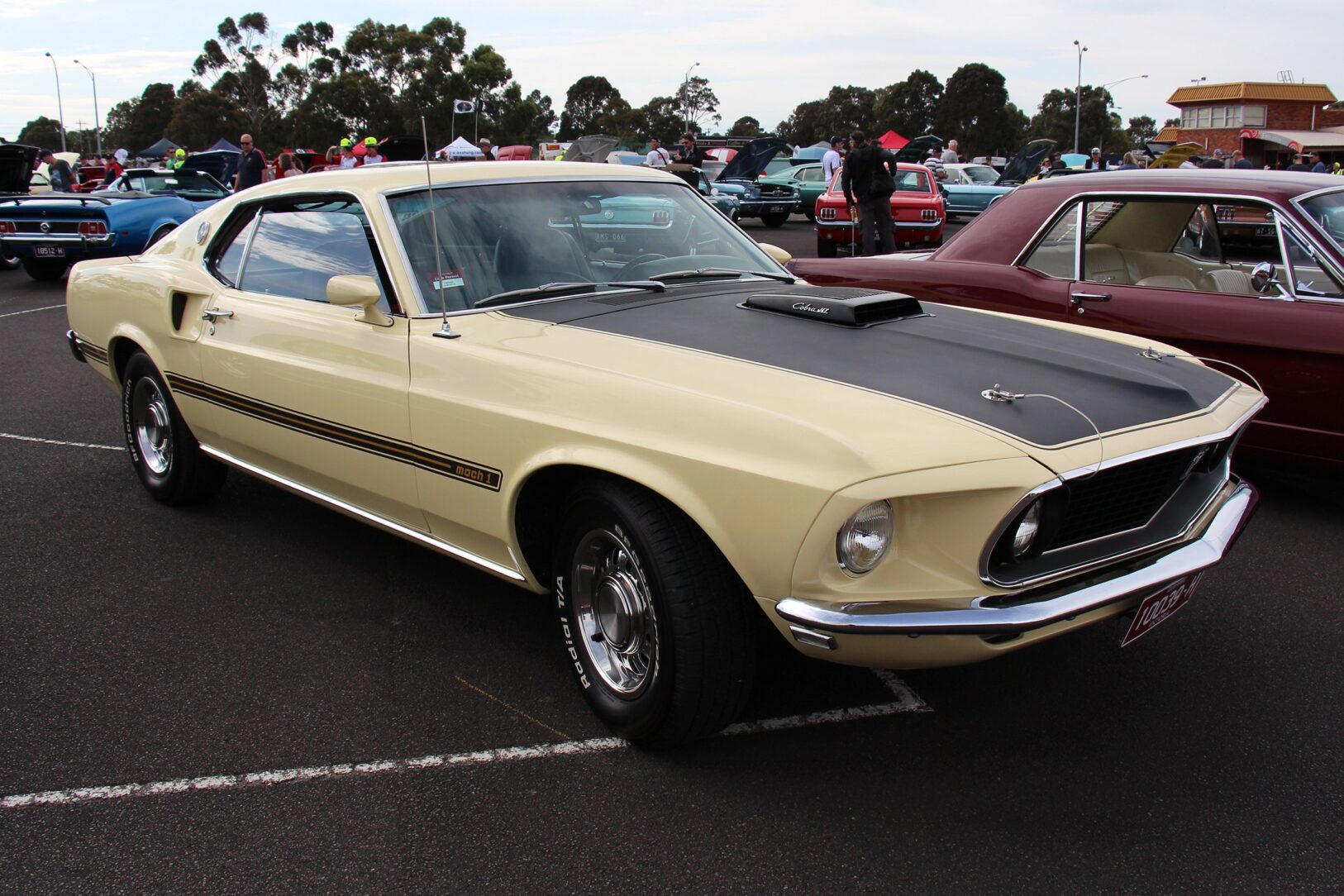 Ford Muscle Cars That Defined a Generation