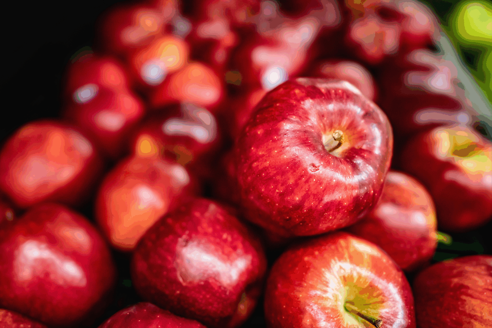 Fruits and Veggies That Spoil Fast or Last Long