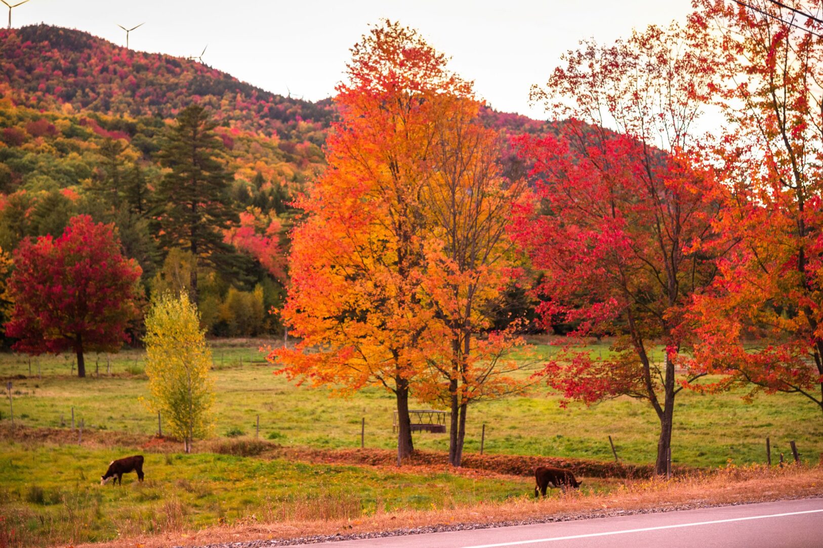 Charming Small Towns to Visit for Stunning Fall Views