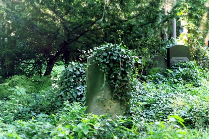 Where to Find a Creepy Cemetery in Every State