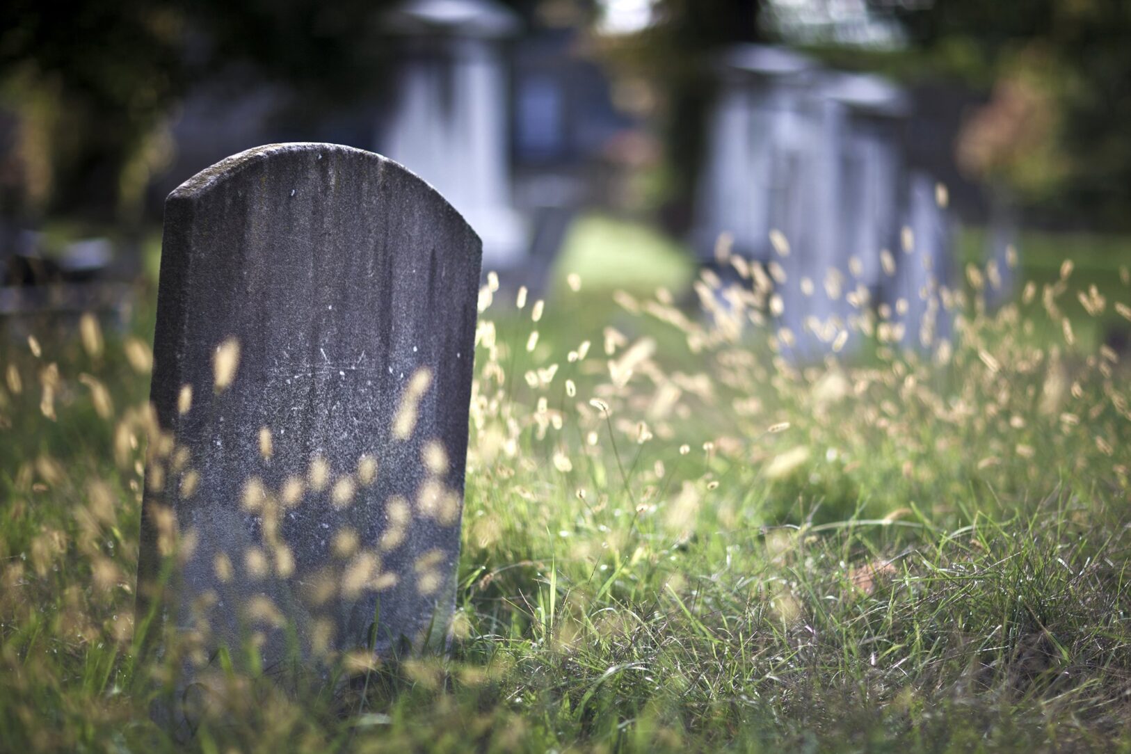 Where to Find a Creepy Cemetery in Every State