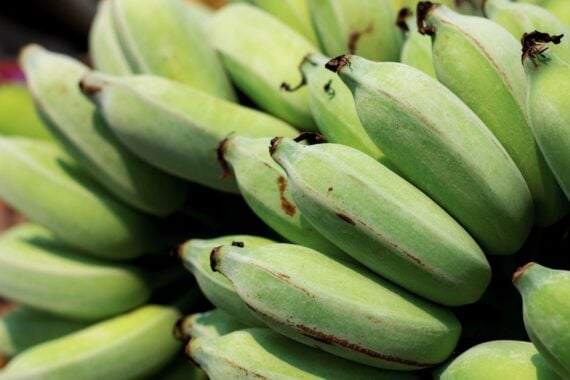 27 Things You Didn’t Know About Bananas - Cheapism