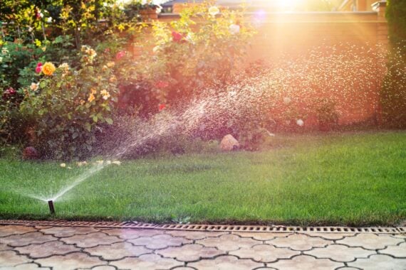 7 Things That Use the Most Water in Your Home