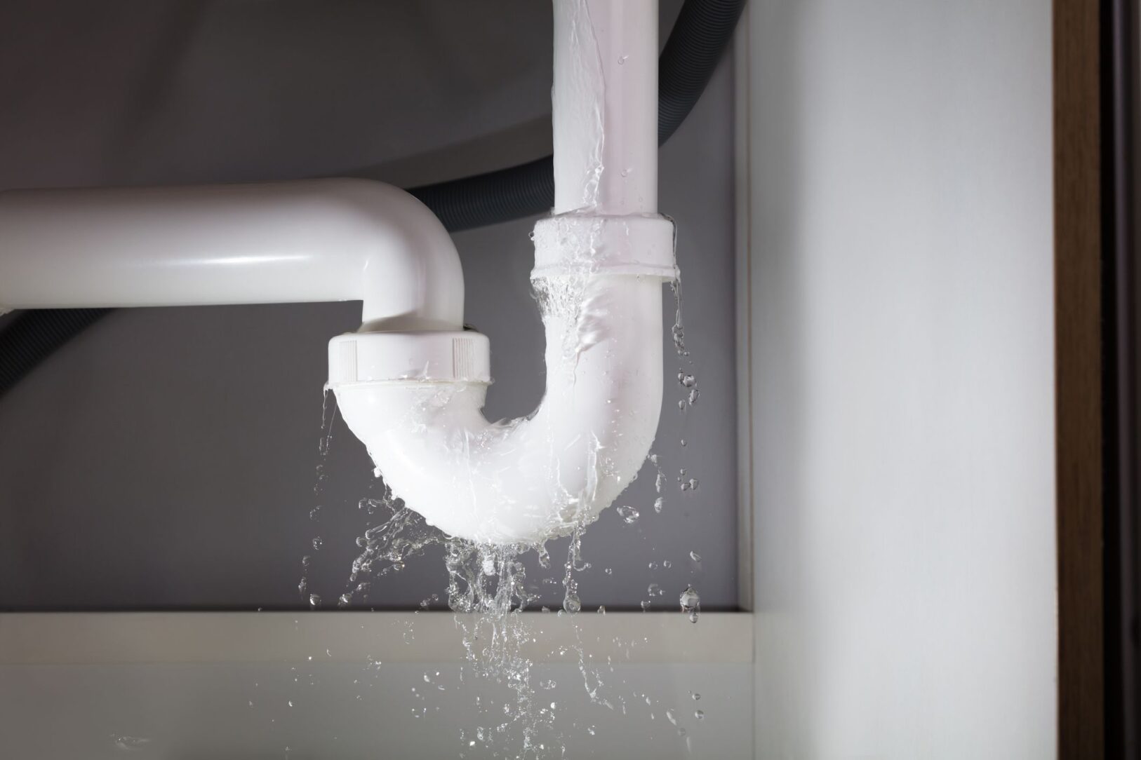 7 Things That Use the Most Water in Your Home