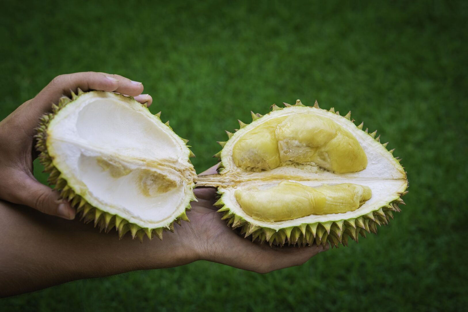 Taste Test: The World's Worst Smelling, Best Tasting Foods