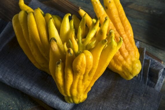 20 Exotic New Fruits You Can Find in American Grocery Stores Now