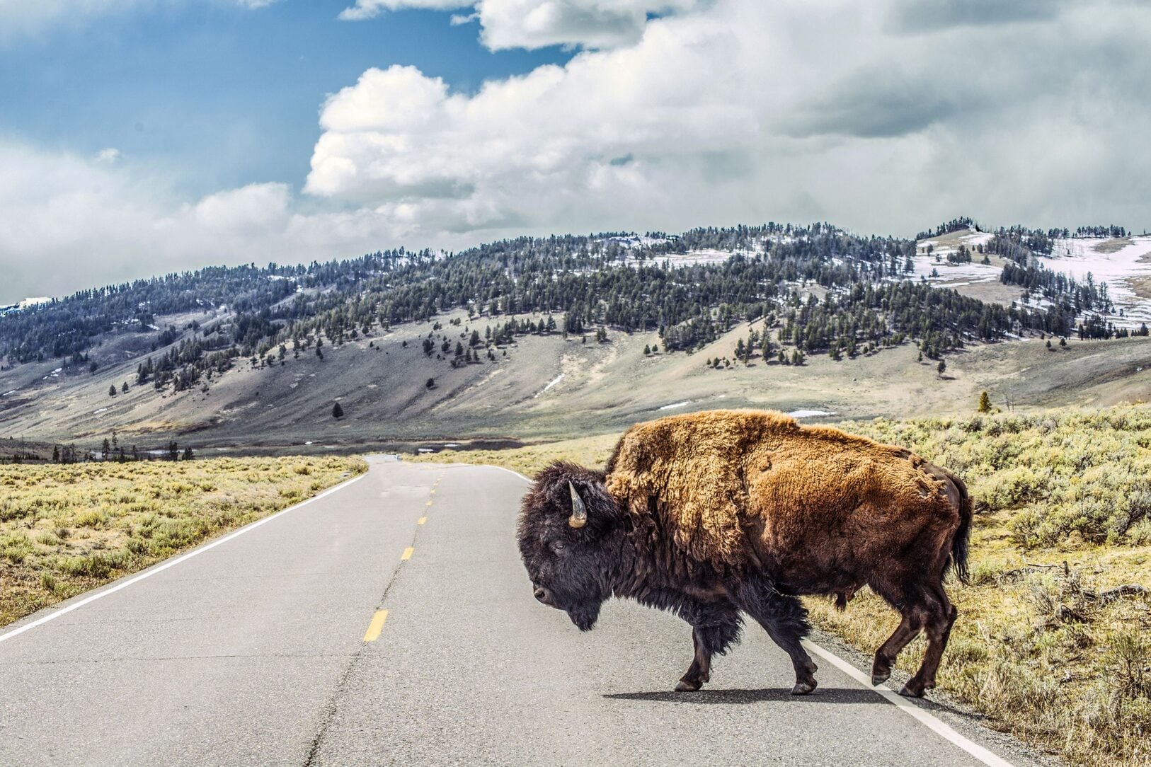 21 Parks & Places to See Wild Animals Up Close