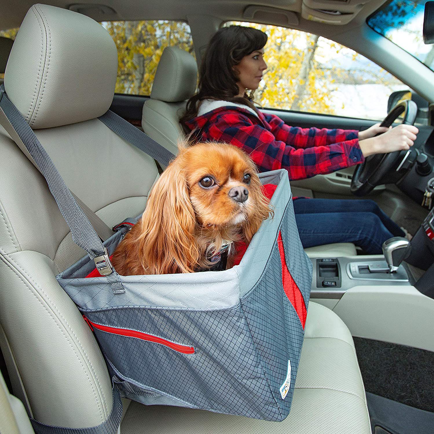 Best Dog Carriers, Crates & Kennels for Traveling with Pets