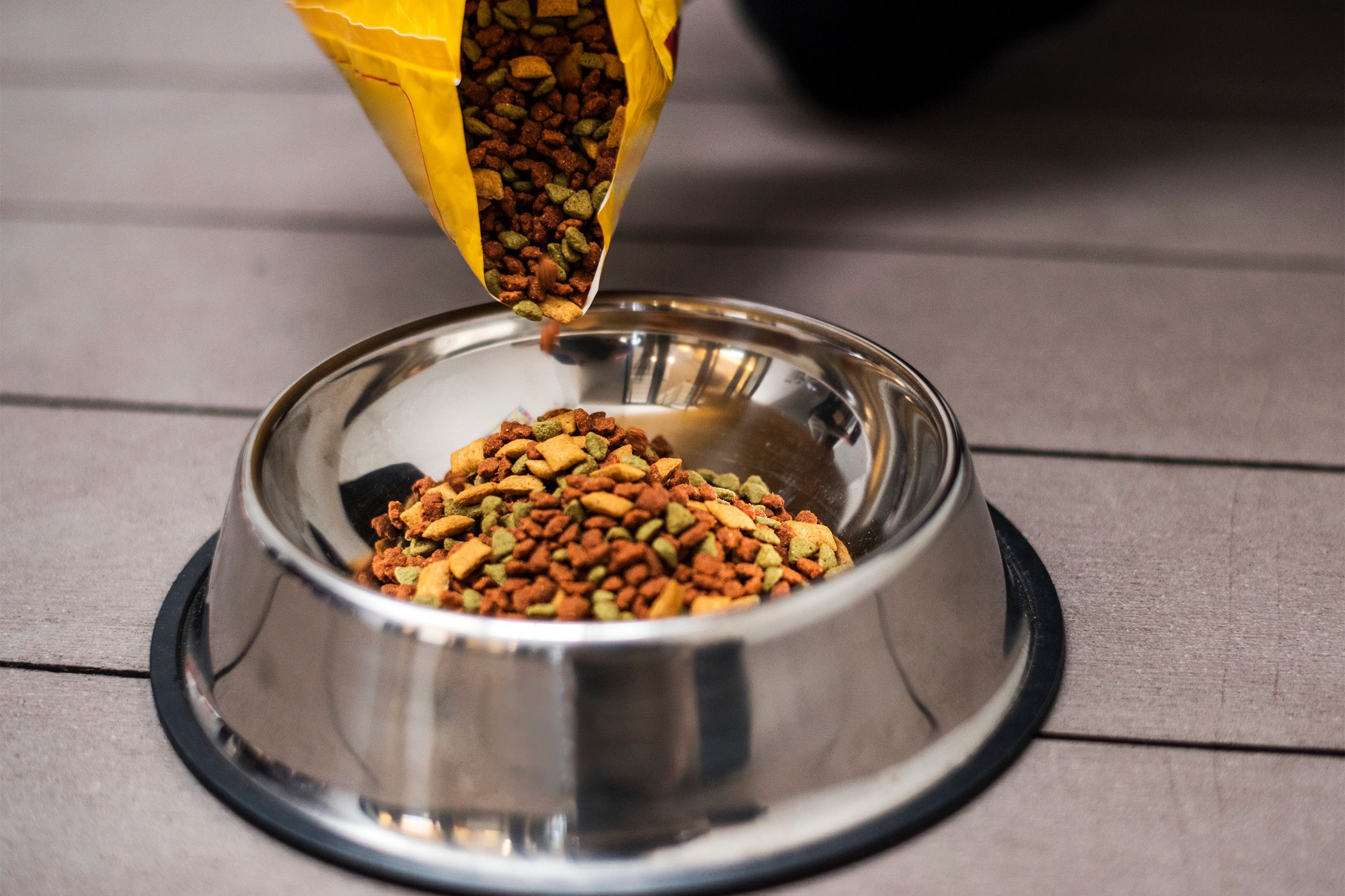 Dog Food Recommendations