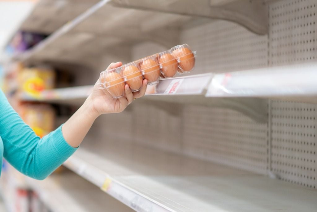 Egg Prices Spike Amid Nationwide Shortage