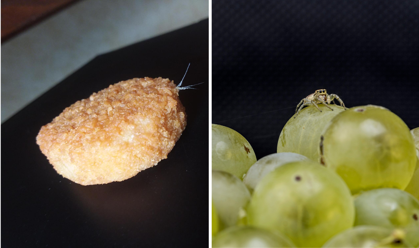 15 Gross, Dangerous Things People Have Found in Food