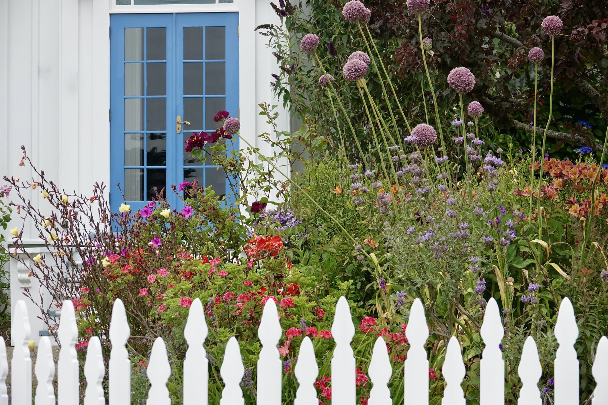 Cheap and Simple Front Yard Landscaping Ideas