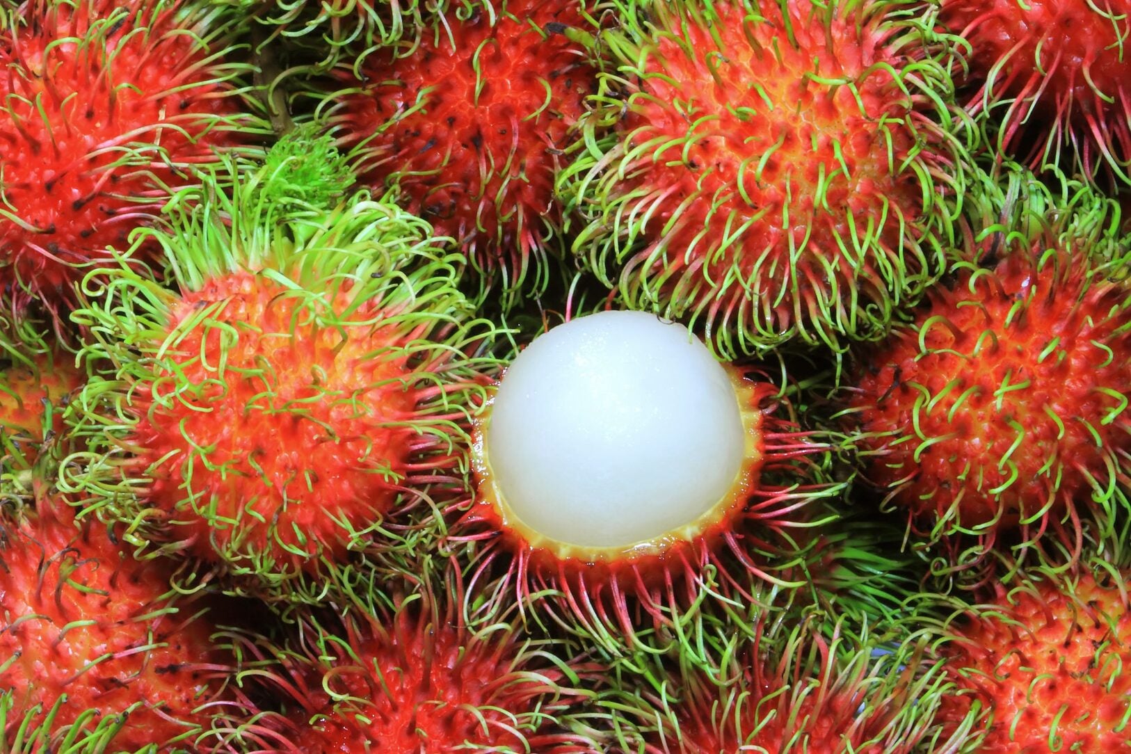 20 Exotic New Fruits You Can Find in American Grocery Stores Now