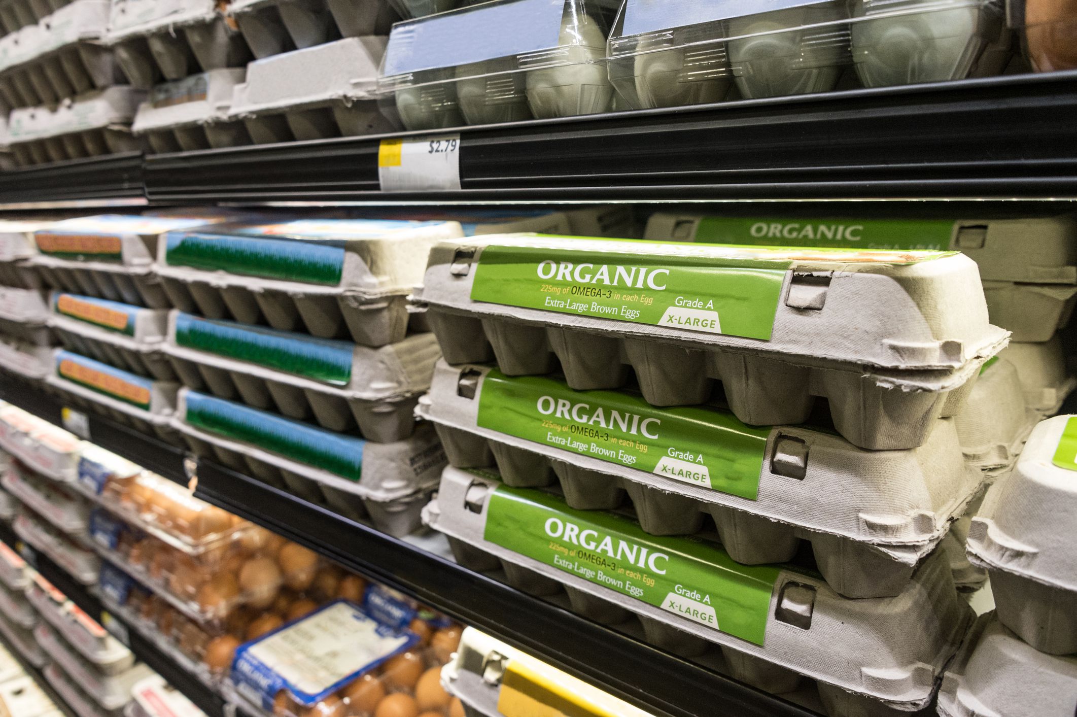 Cage-Free vs. Free-Range Eggs: What’s the Difference and Why?