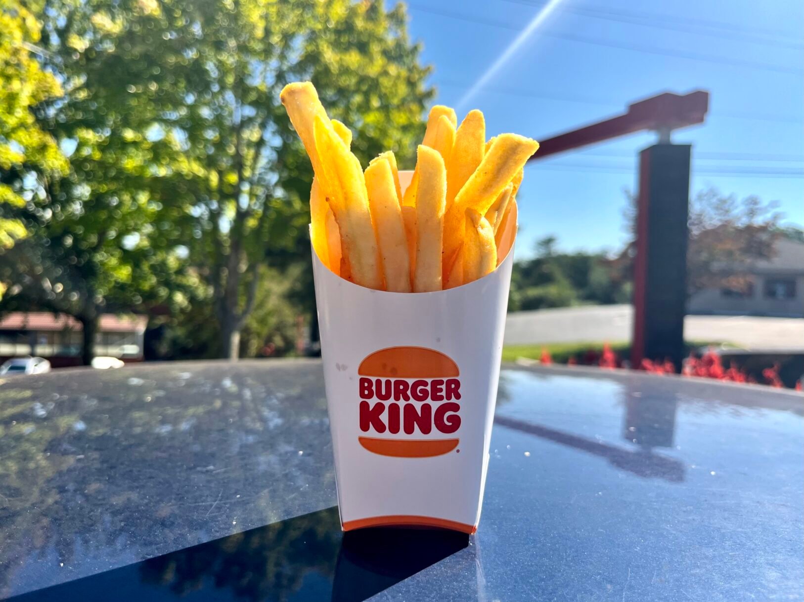 10 Fast-Food French Fries, Ranked Best to Worst - Cheapism