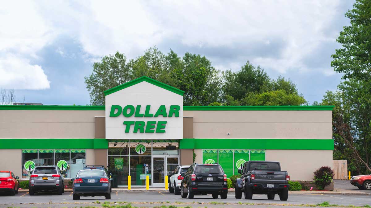 Dollar Tree Winter Items to Buy This Season - Cheapism