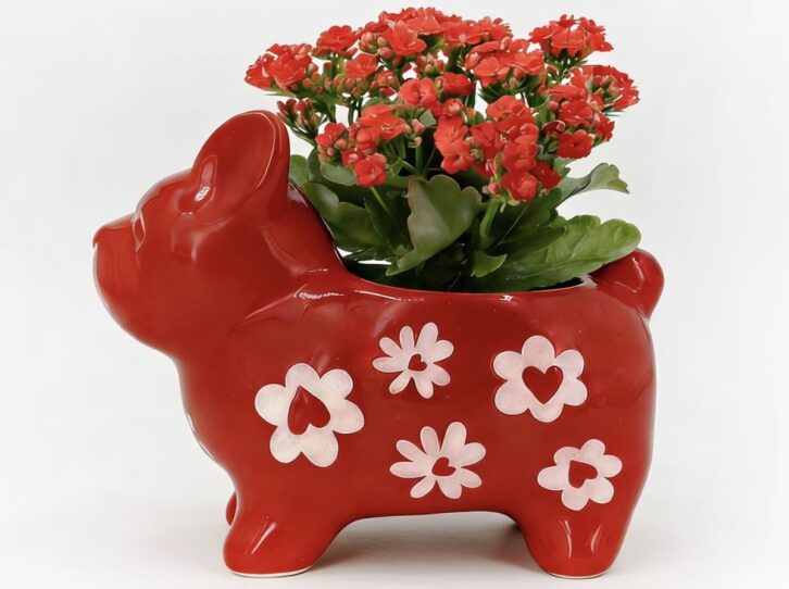 The Best Valentine's Day Gifts From Target Under $10