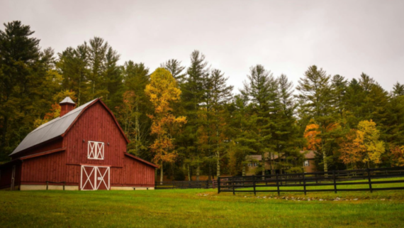 Cheap Vacation Alternatives That Beat Hotel5